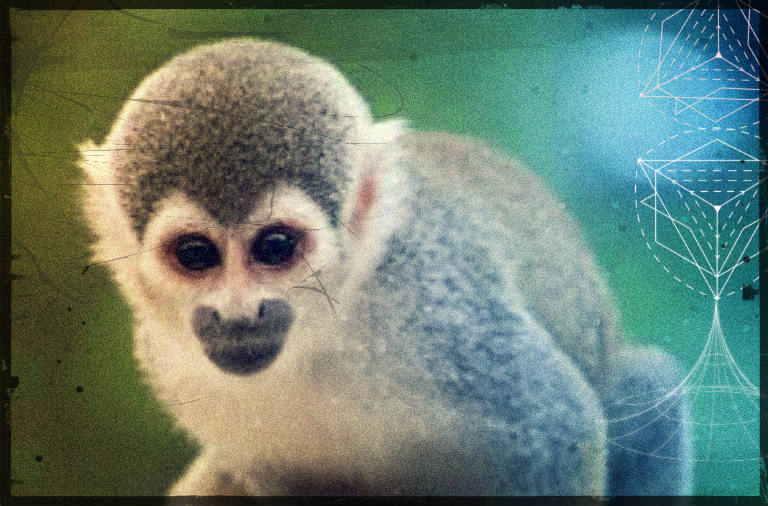 Mikima – El Gris de Tus Ojos